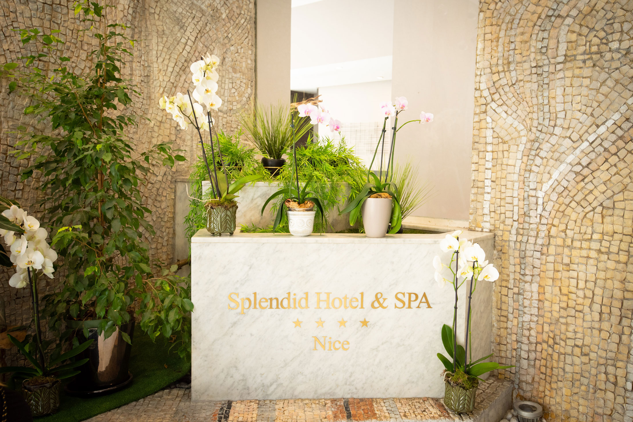Offres & Forfaits Hôtel | Splendid Hotel & Spa Nice